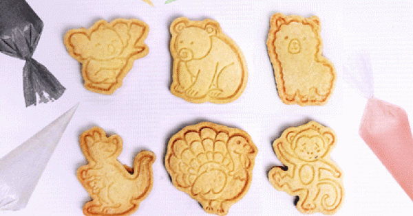 Decorate-Your-Own Cookies Kit: Australian Outback